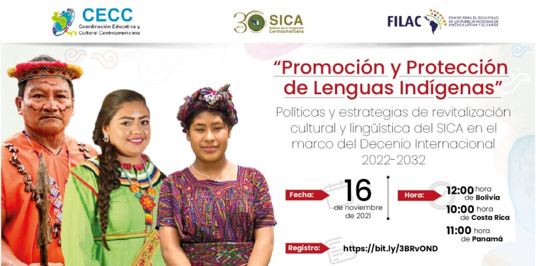 Webinar Promoción Y Protección De Las Lenguas Indígenas Fondo Para