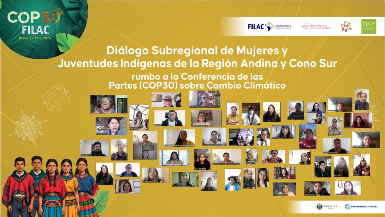Diálogo Subregional Andino-Cono Sur rumbo a la COP30: Pueblos Indígenas ...